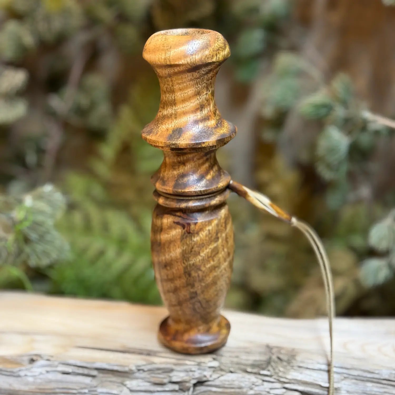 Curly Mango Compact Grunt – Wild Country Customs